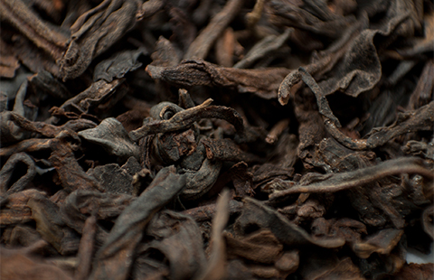 Tale of tea takes out major international prize - New Mandala