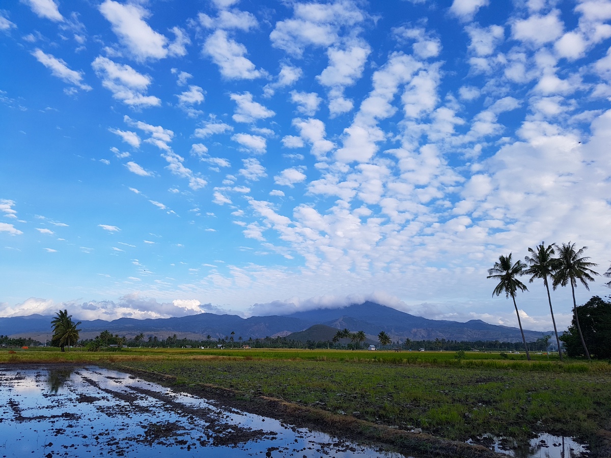 Flores landscape - New Mandala