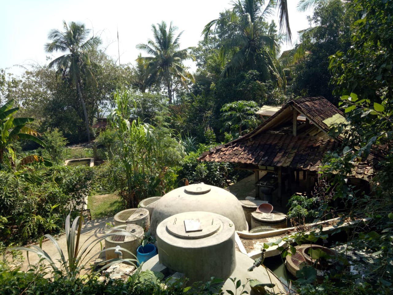 ‘Green Islam’: Islamic environmentalism in Indonesia - New Mandala