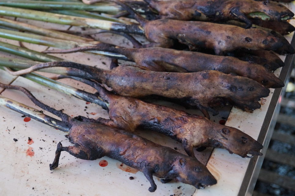 rat skewers - New Mandala