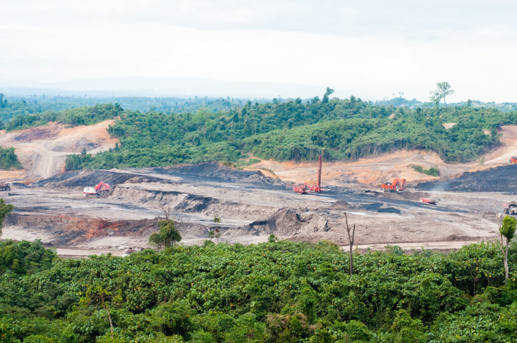 Environmental degradation in Indonesia: lessons from Jambi - New Mandala
