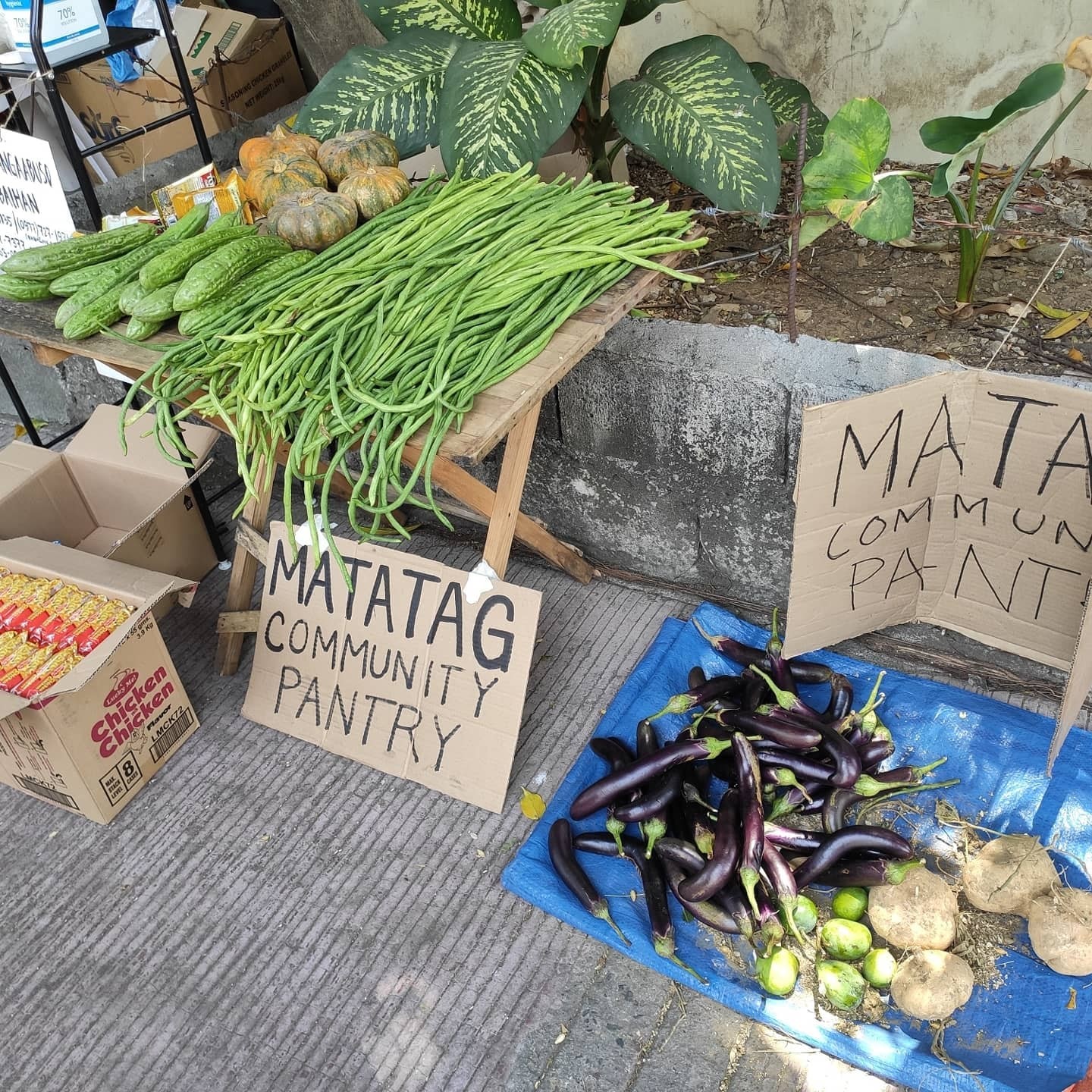 Community pantries as everyday socialism - New Mandala
